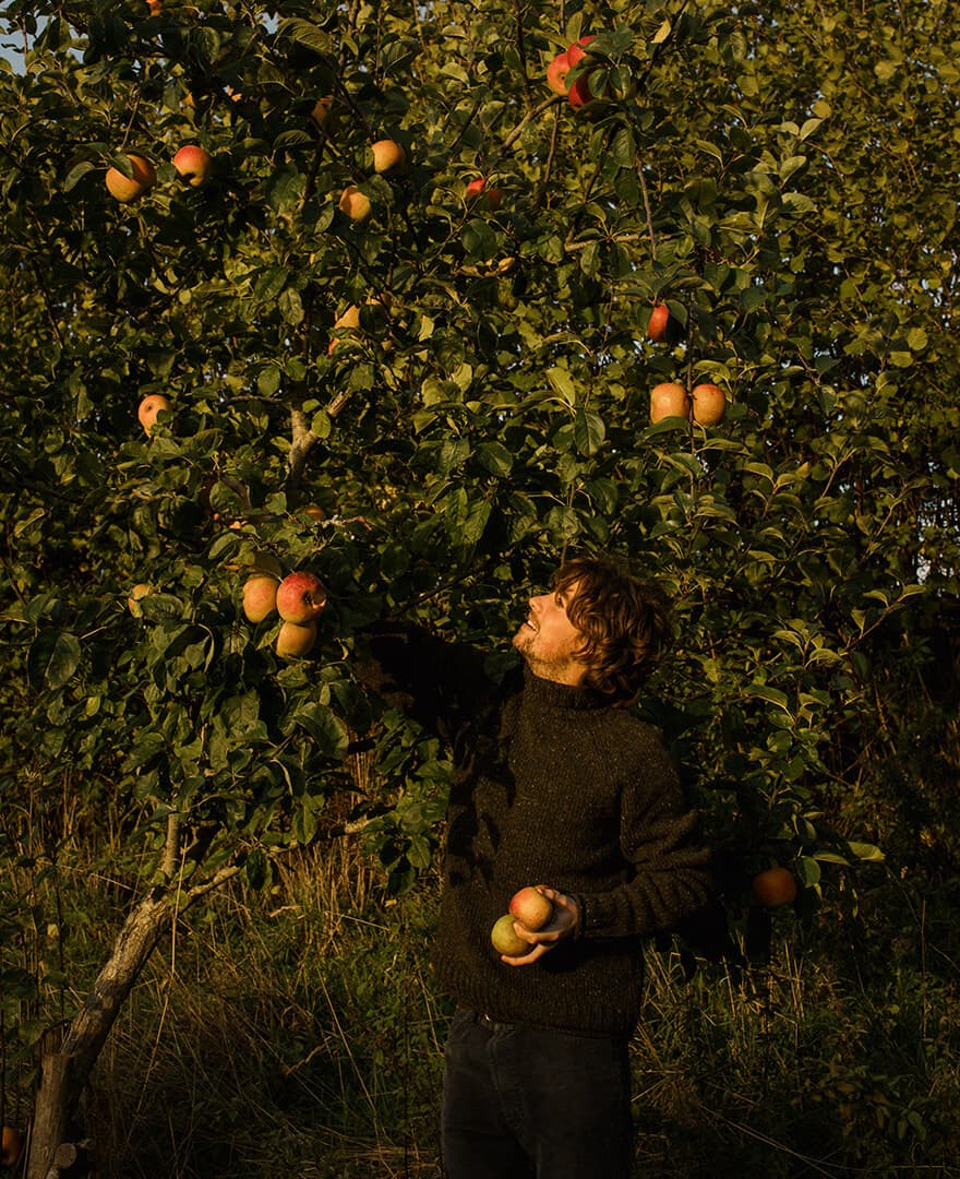 Julius Roberts × Ffern Fragrance | Ffern