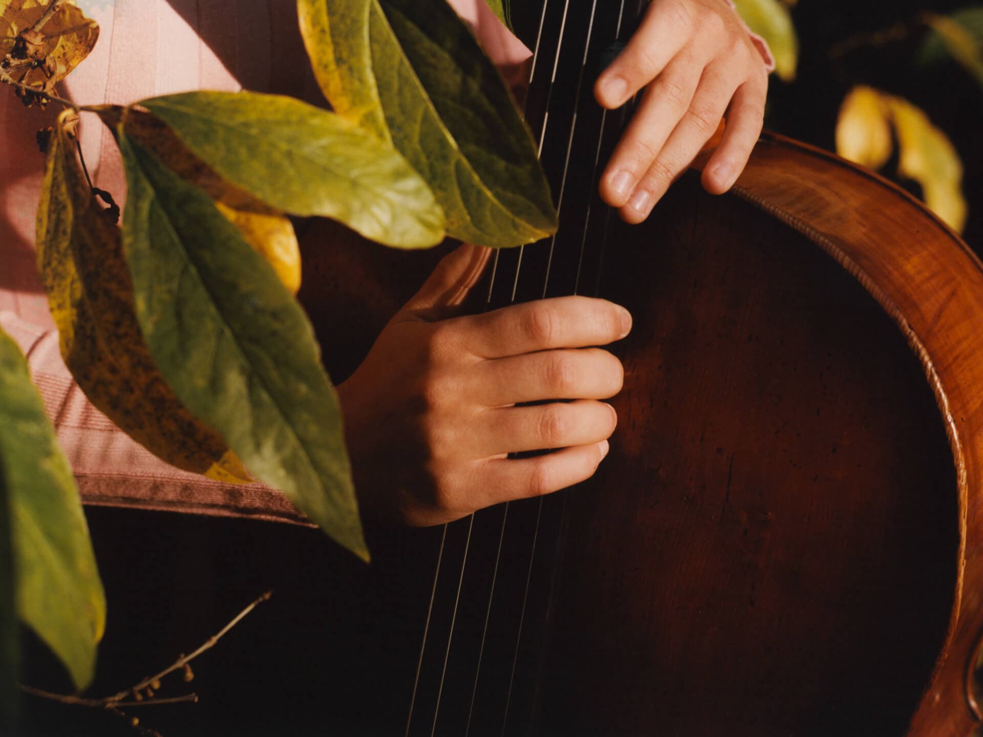 Ffern Artists | Ffern