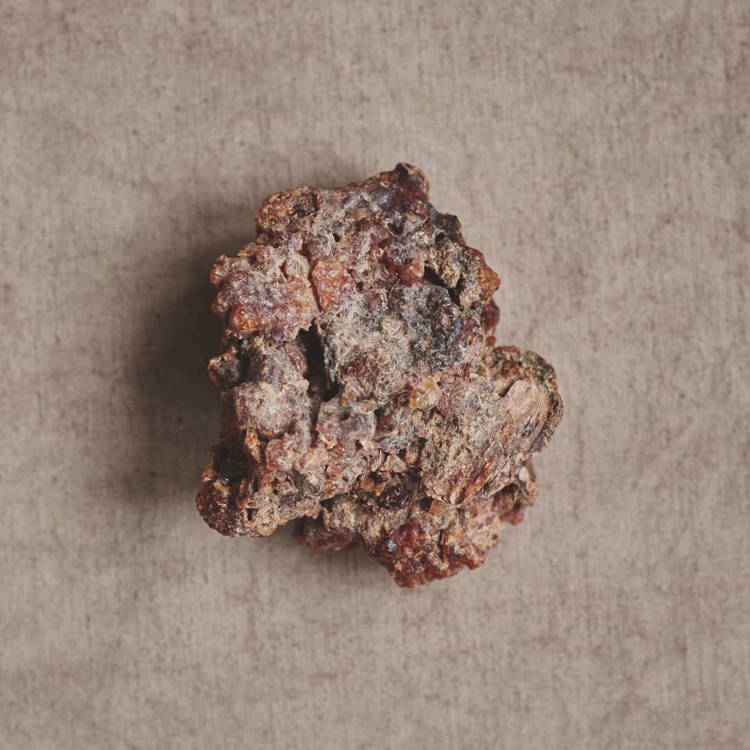 Ffern - Organic Eau de Parfum | Ffern