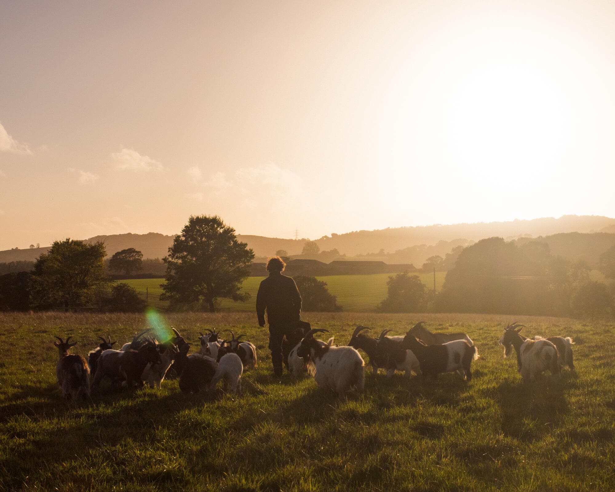 Ffern - Organic Eau de Parfum | Ffern