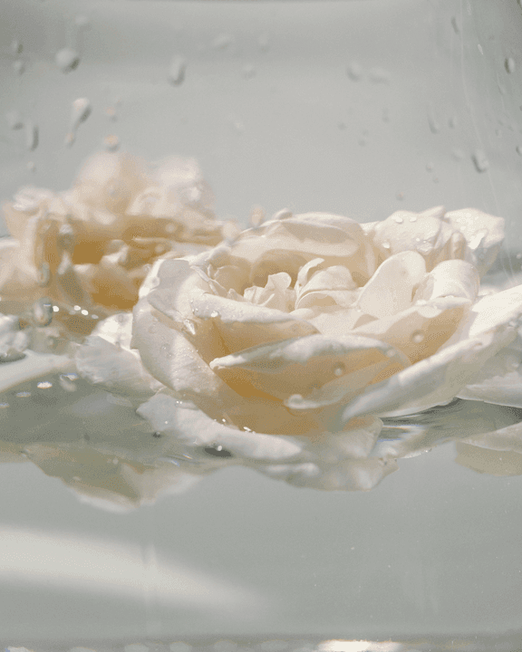 Ffern - Organic Eau de Parfum | Ffern