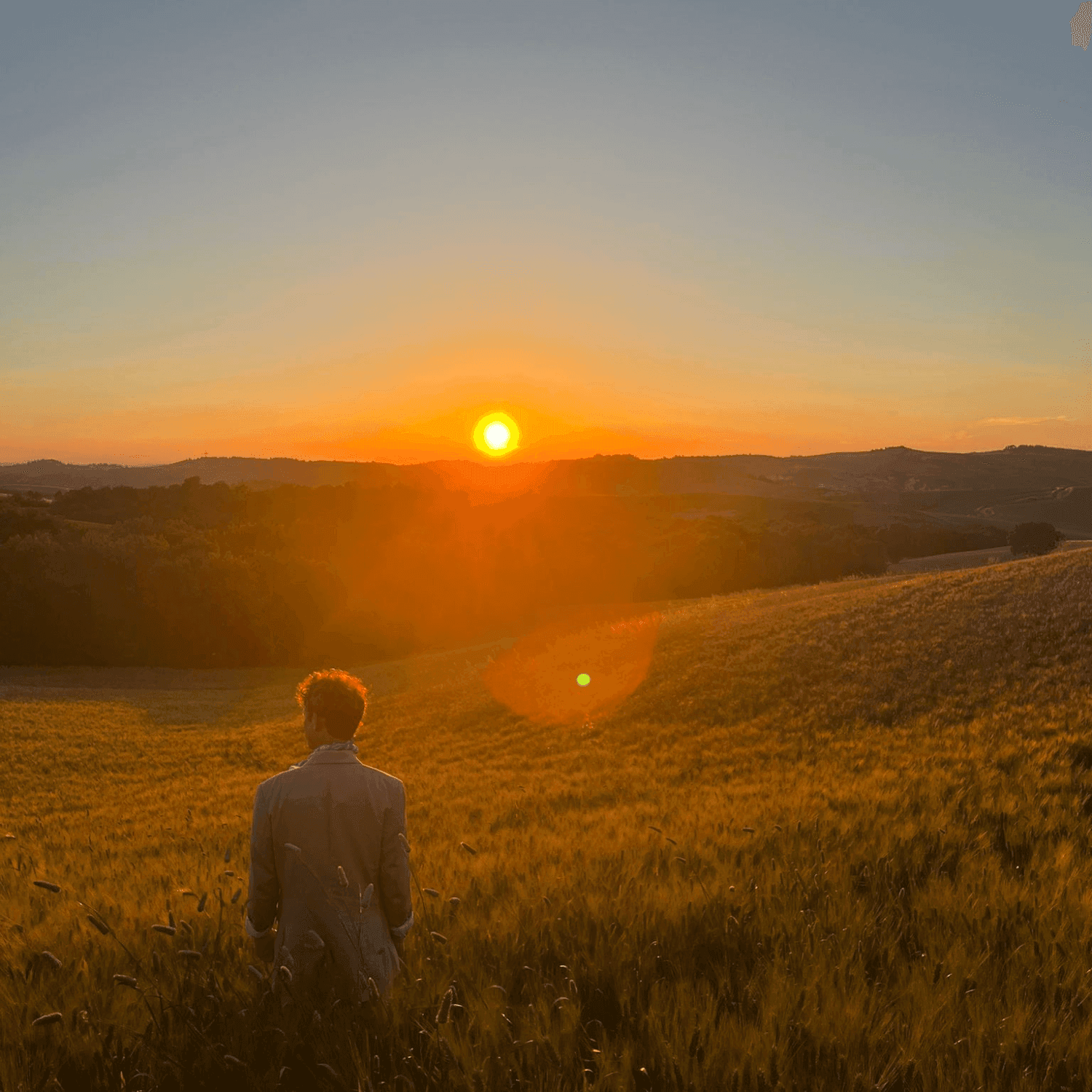 Ffern - Organic Eau de Parfum | Ffern