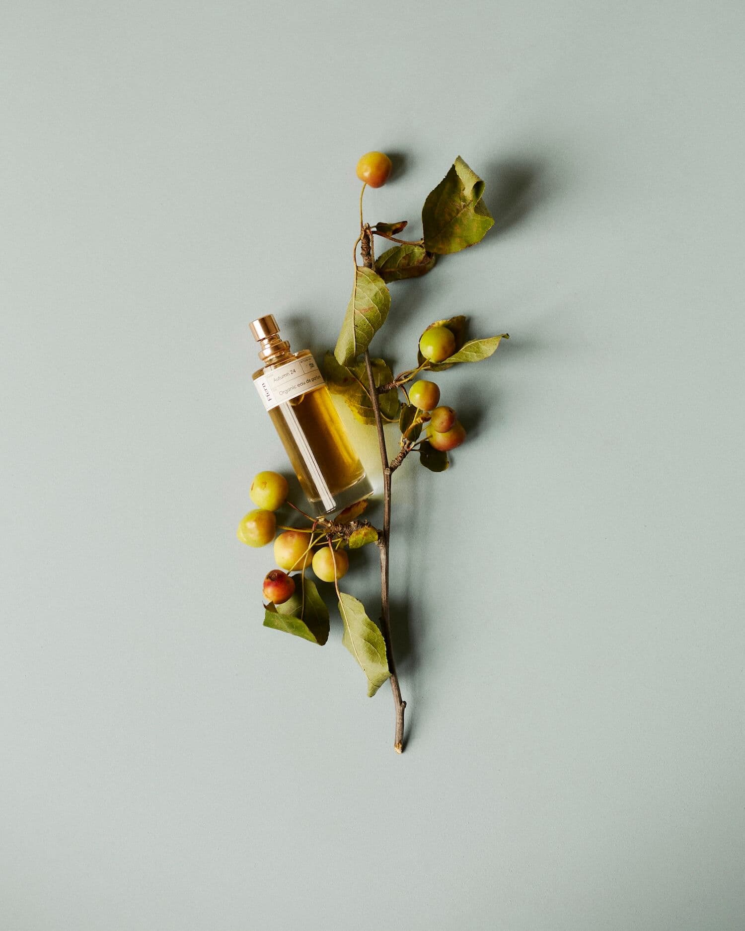 Ffern - Organic Eau de Parfum | Ffern