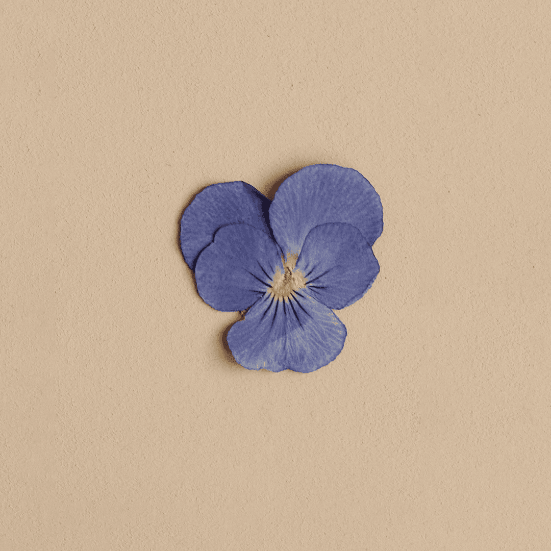 Ffern - Organic Eau de Parfum | Ffern